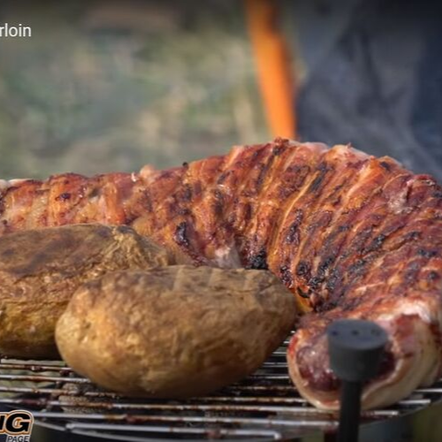 Bacon Moose Tenderloin - CampMaid